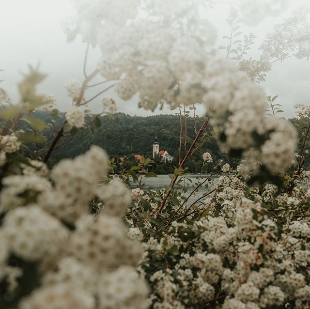 Cory Varga – Food & Still Life Photographer