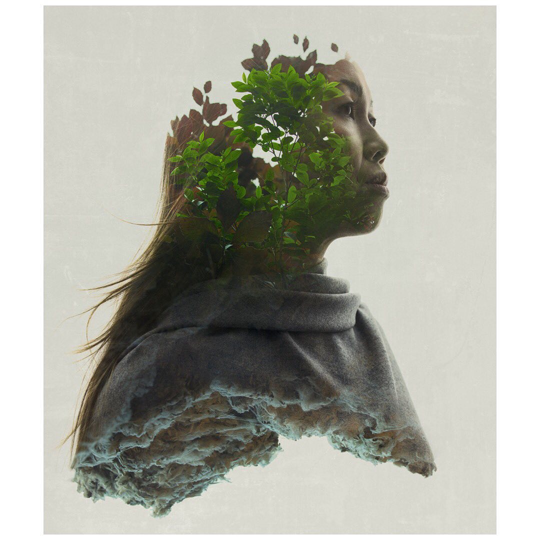 Christoffer Relander – Nature & Animals Photographer
