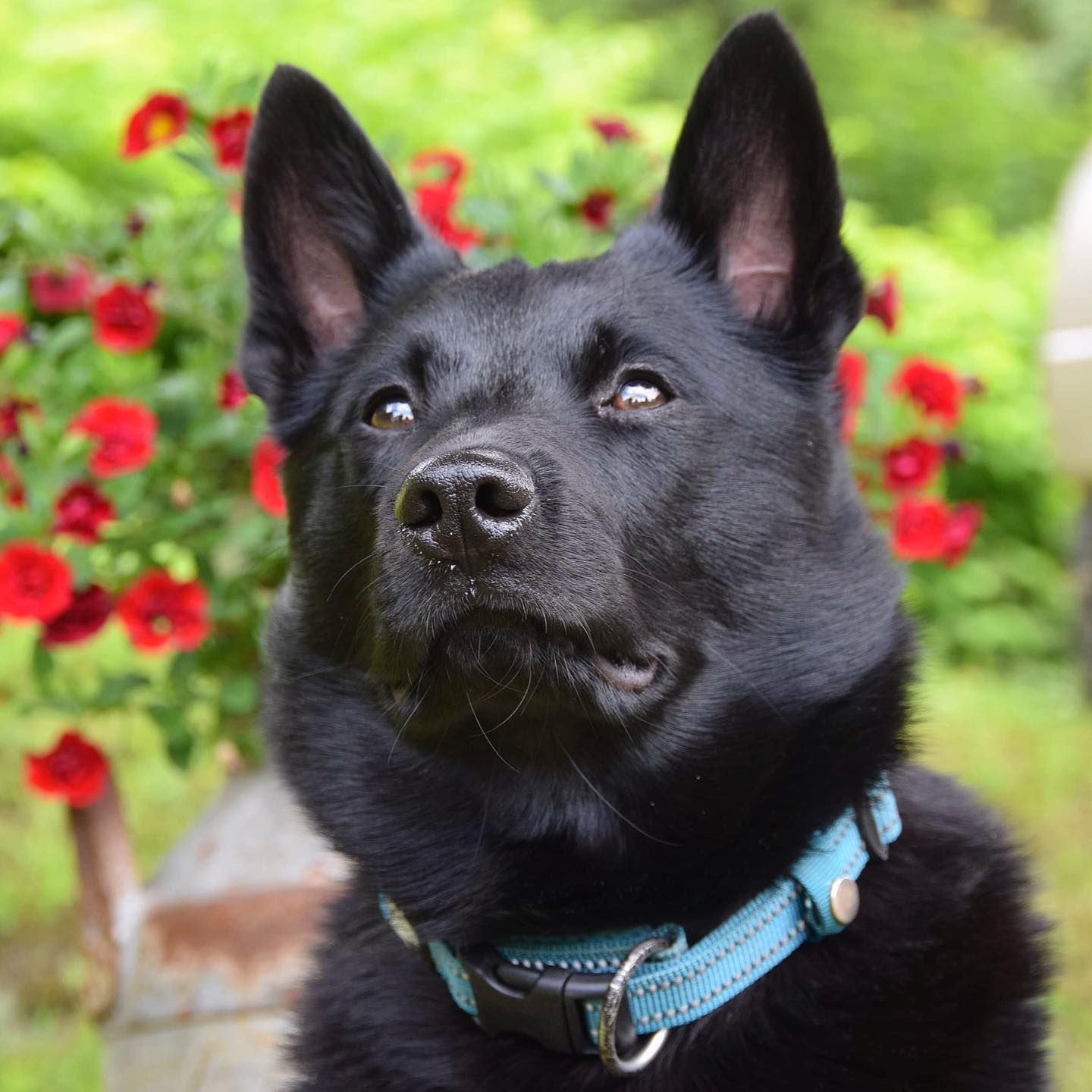 Karoline J. Knutsen – Travel & Landscape Photographer