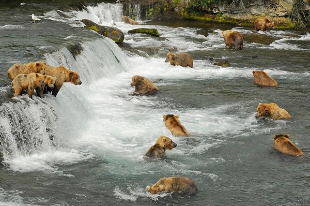 Barrett Hedges – Nature & Animals Photographer