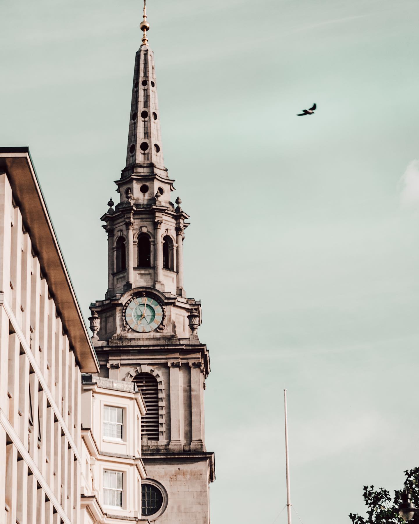 Vintage Clock Tower Urban Architecture Sight