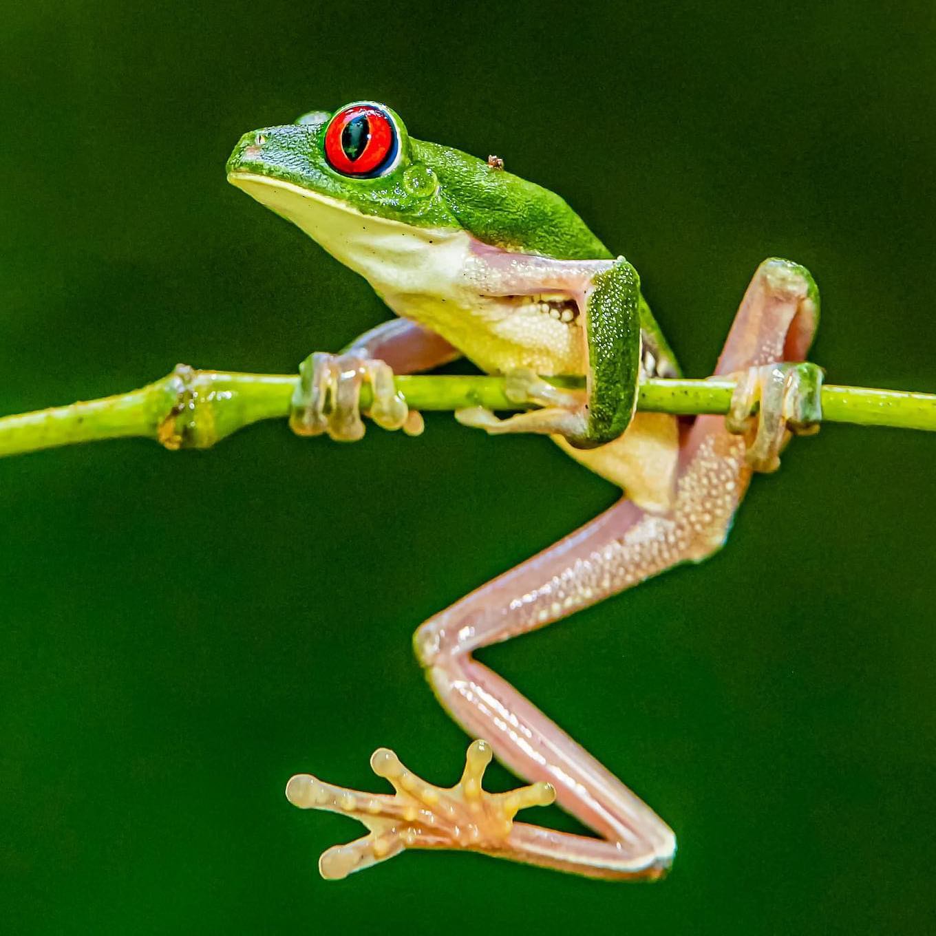 William Gracia – Sports & Cars Photographer