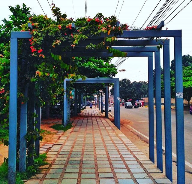 Urban Walkway Shaded Path City Escape