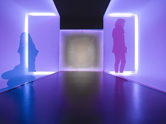 Silhouettes Illuminated Purple Light Boxes Modern Art Gallery