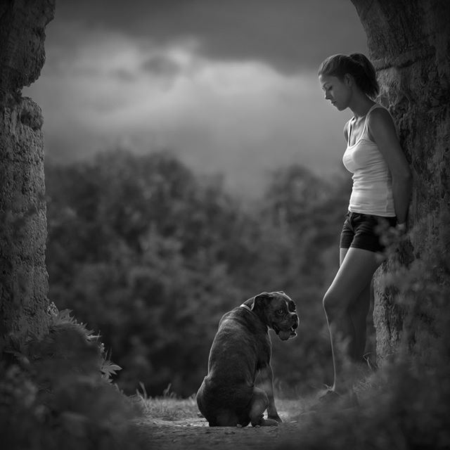 Tamás Szarka – Nature & Animals Photographer