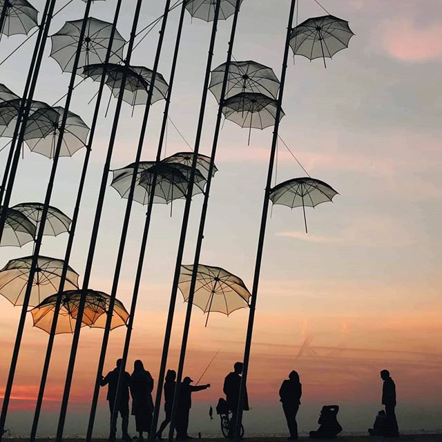 Art Installation Umbrellas Sunset Waterfront Cityscape