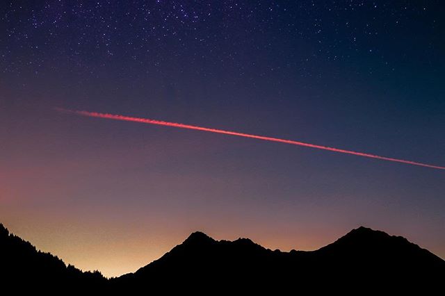 Wesley Whitfield – Nature & Animals Photographer