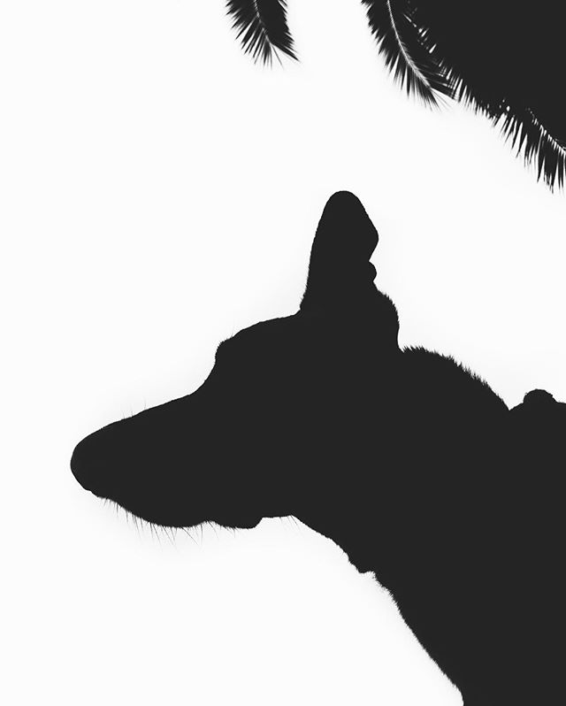 Frieder Jan Moerman – People & Lifestyle Photographer