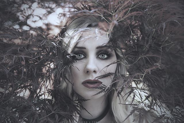 Daniele Ferrero – Fine Arts Photographer