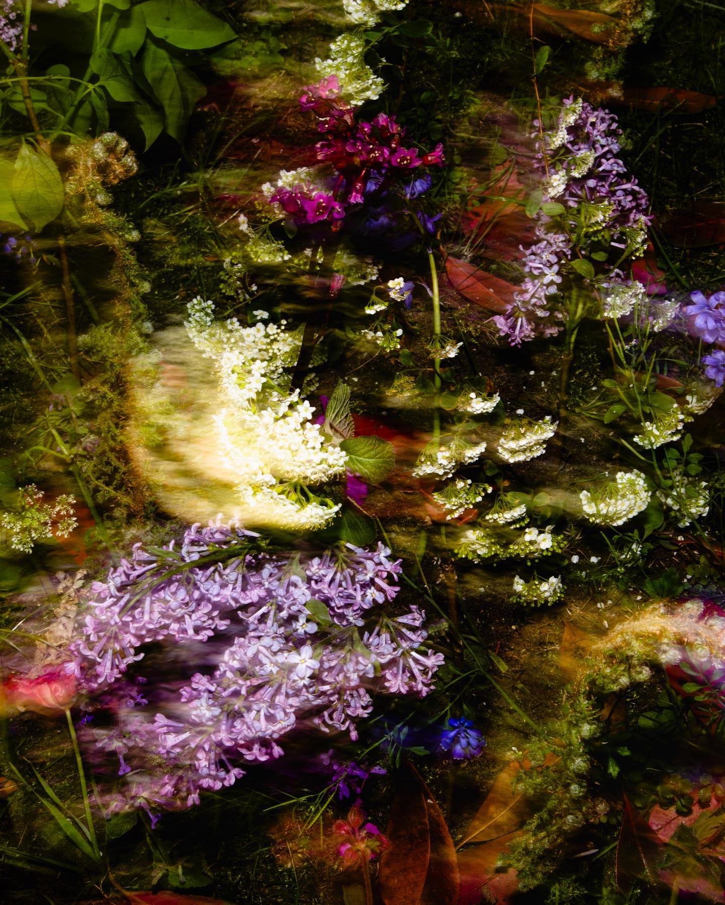 Rowan Moonlion – Editorial & Documentary Photographer