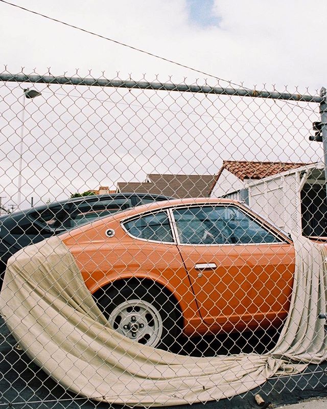 Orange Datsun Covered Sheet Behind Fence