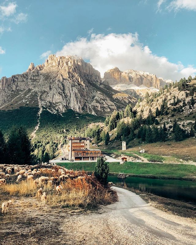 Dolomites Mountains Sheep Lake Building Landscape
