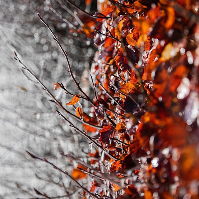 GAVIN MARTIN – Conceptual & Advertising Photographer