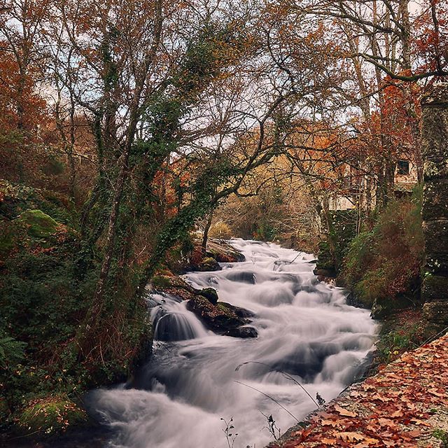 Manuel María Balbás Naveira – Nature & Animals Photographer