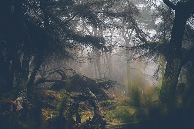 Ash Stanley – Fashion & Beauty Photographer