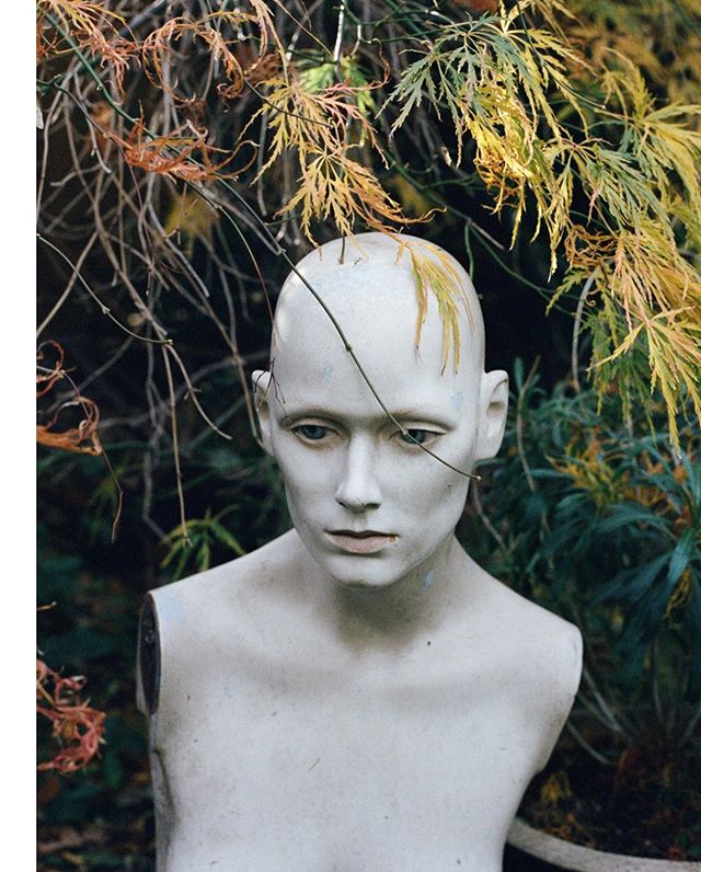 peter lally – Food & Still Life Photographer