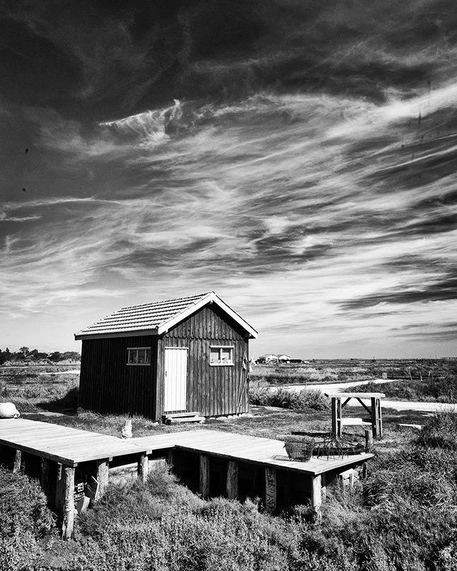 Stephen Rennie – Nature & Animals Photographer